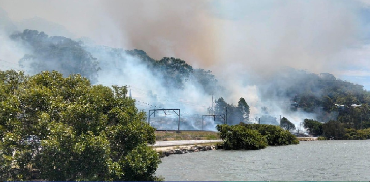 Australia activates disaster relief for wildfire-hit NSW ...