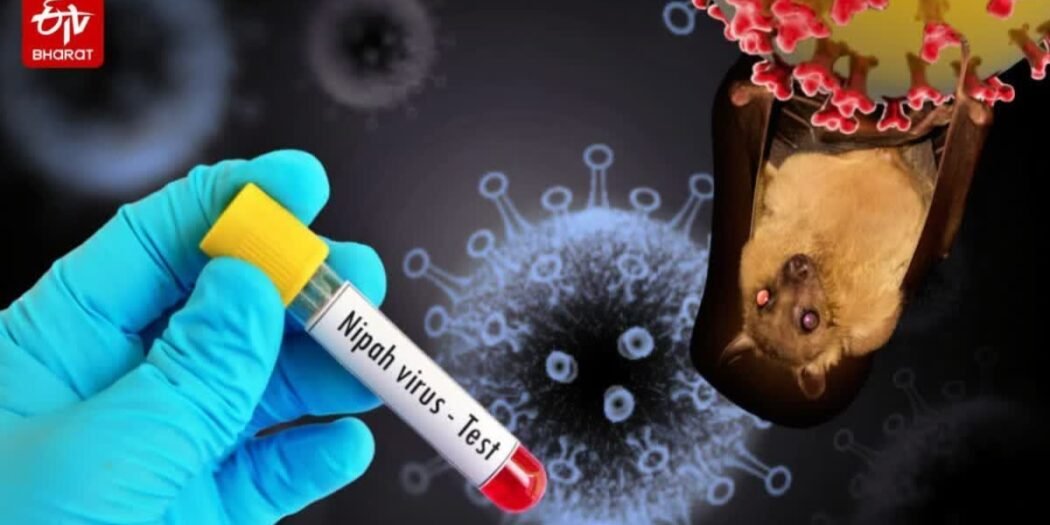 Nipah Virus Threat in India: More Dangerous Than COVID-19; Know the ...